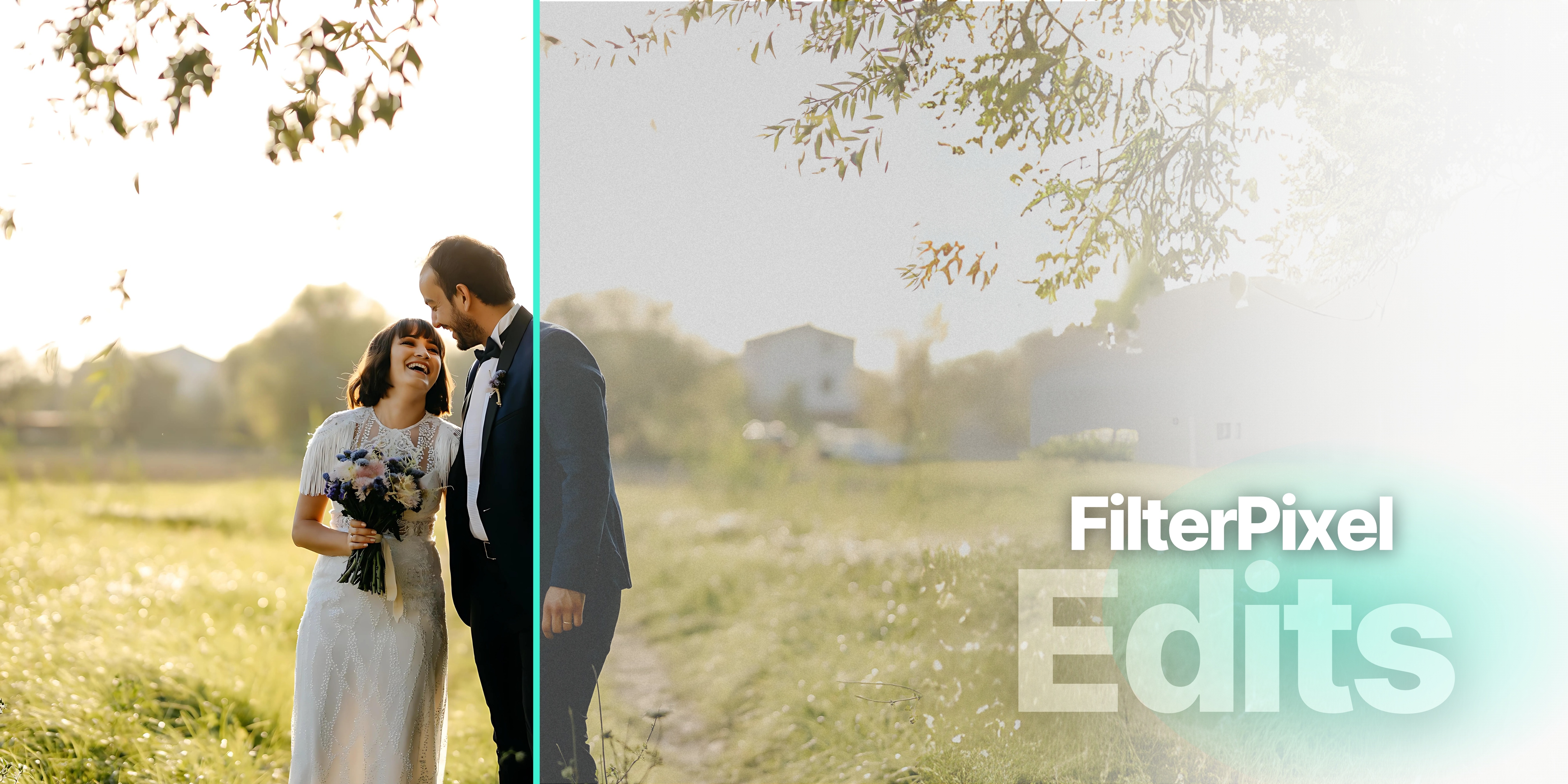 #1 AI Photo Culling & Editing Software for Windows & Mac | FilterPixel